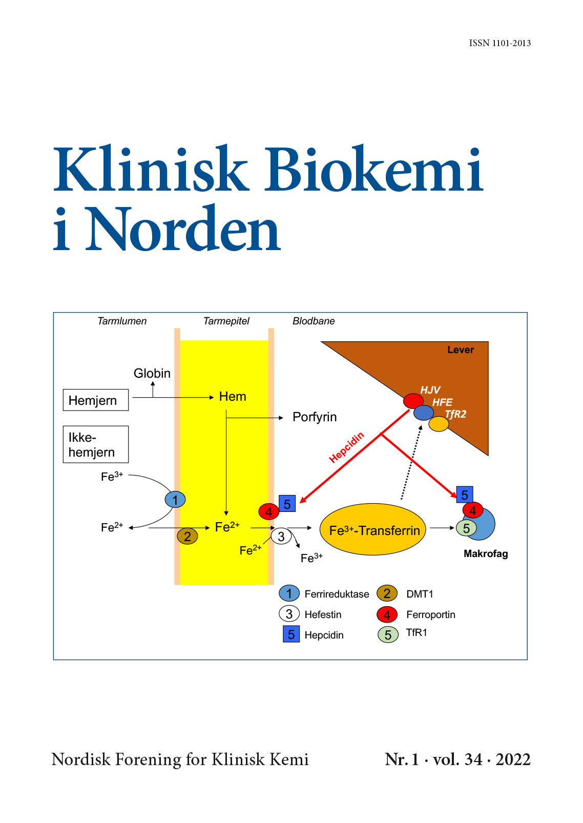 Klinisk Biokemi i Norden - Nr. 1, vol. 34, 2022 - NFKK