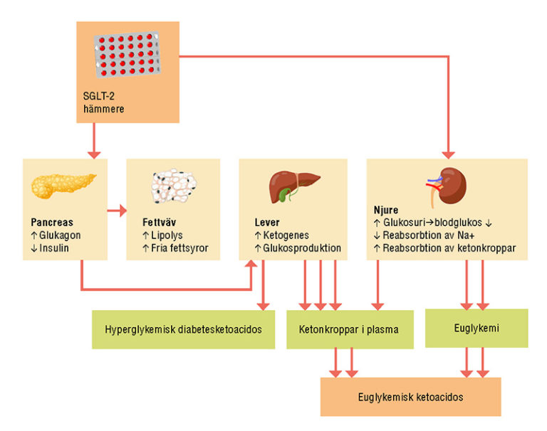 NFKK - Nordisk Forening for Klinisk Kemi