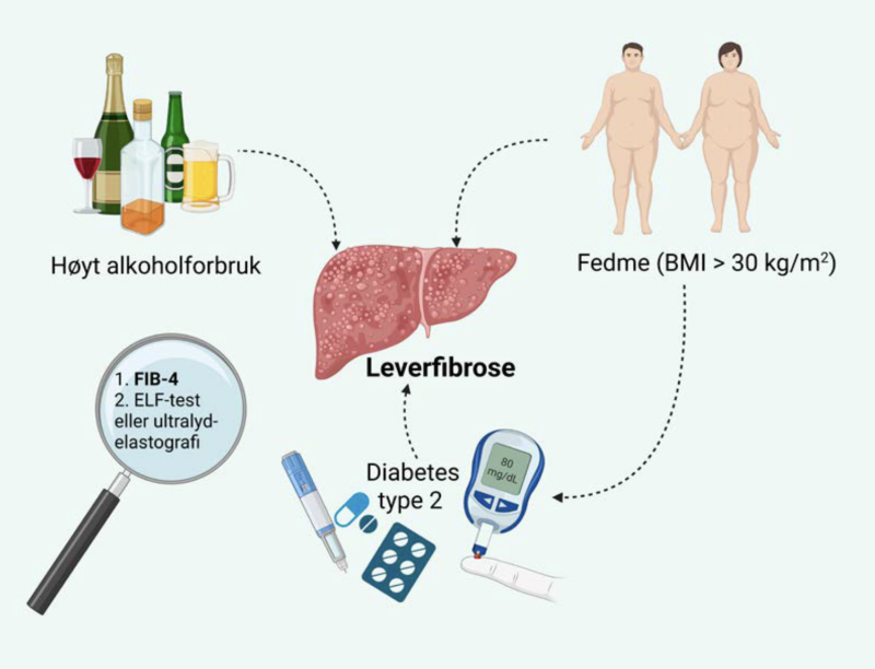 NFKK - Nordisk Forening for Klinisk Kemi